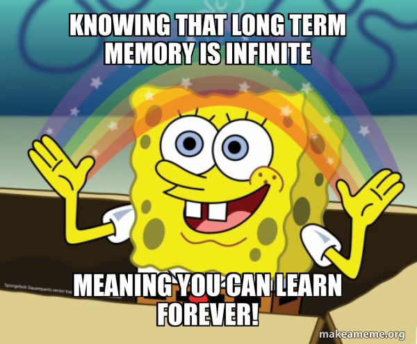 Knowing that Long term memory is infinite meaning you can learn forever ...