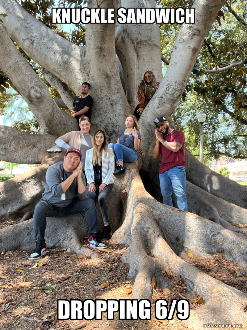 KNUCKLE SANDWICH DROPPING 6/9 Meme Generator