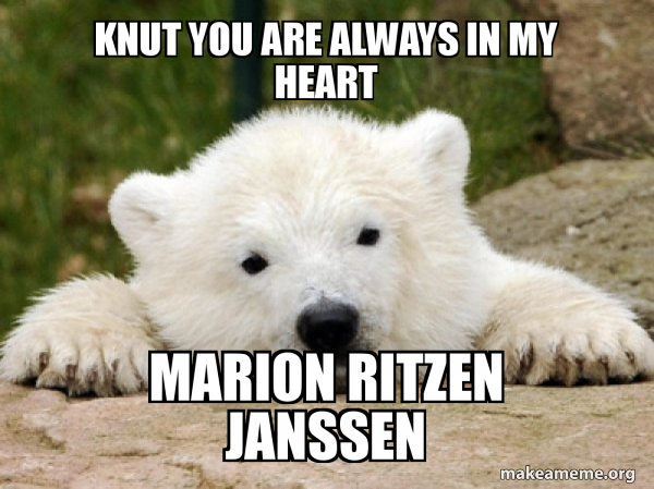 Knut you are always in my Heart Marion Ritzen Janssen - Popular Opinion ...