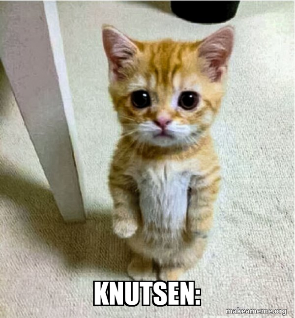 Knutsen: - Cute Cat Standing Meme Generator