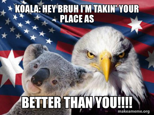 Koala: hey bruh i'm takin' your place as BETTER THAN YOU ...