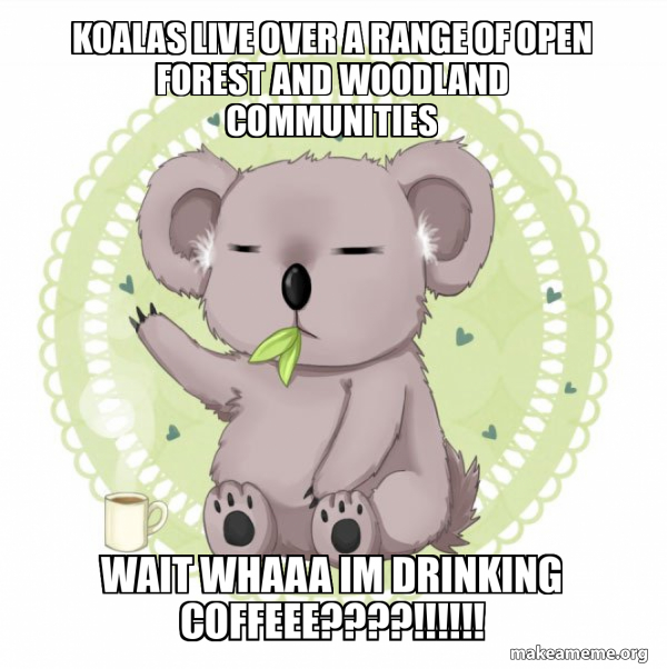 Koalas live over a range of open forest and woodland communities Wait whaaa Im drinking COFFEEE ...
