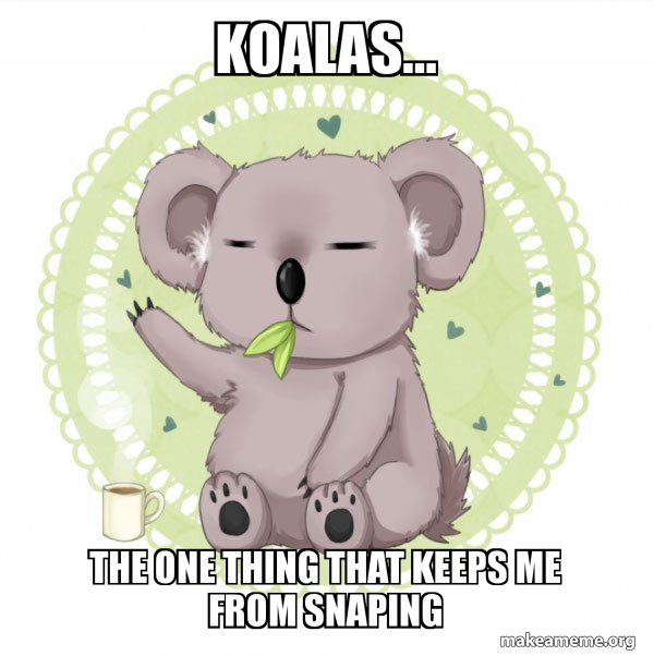 Koalas... the one thing that keeps me from snaping - Aussie Koala doing ...
