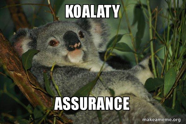 Koalaty Memes Koala Friendship Card | Funny Greeting Cards – Nine