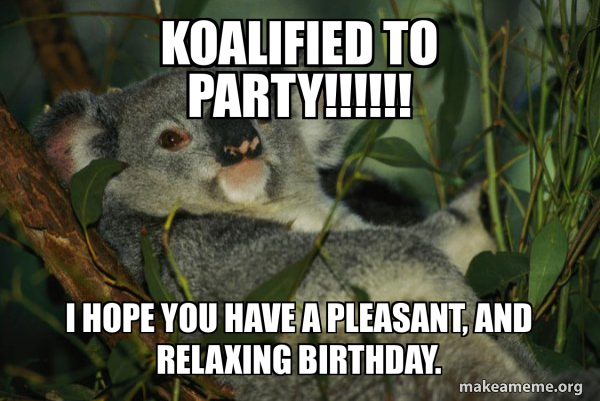 KOALIFIED TO PARTY!!!!!! I Hope You Have A Pleasant, And Relaxing ...