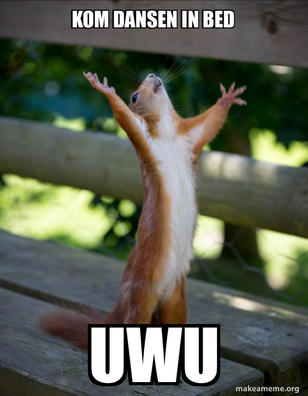 KOM dansen in bed UWU - Happy Squirrel Meme Generator