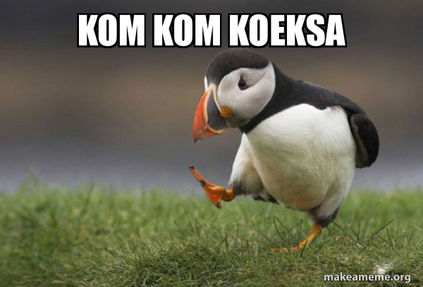 Kom Kom Koeksa - Unpopular Opinion Puffin Meme Generator