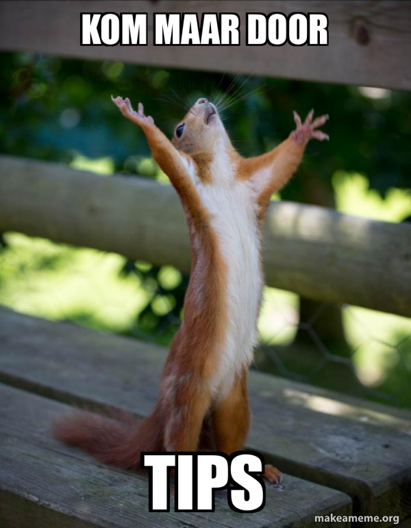 kom maar door tips - Happy Squirrel Meme Generator