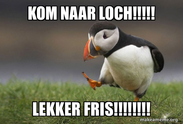 Kom naar Loch!!!!! Lekker fris!!!!!!!! - Unpopular Opinion Puffin Meme ...