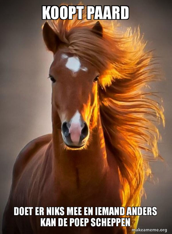 Koopt paard Doet er niks mee en iemand anders kan de poep scheppen ...
