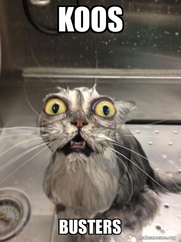 Koos Busters - Cat bath Meme Generator