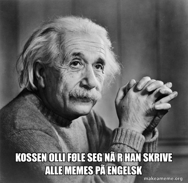 Kossen olli føle seg når han skrive alle memes på engelsk - Serious ...