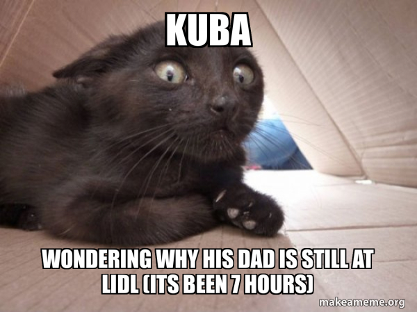 Kuba Wondering why his dad is still at LIDL (its been 7 hours ...