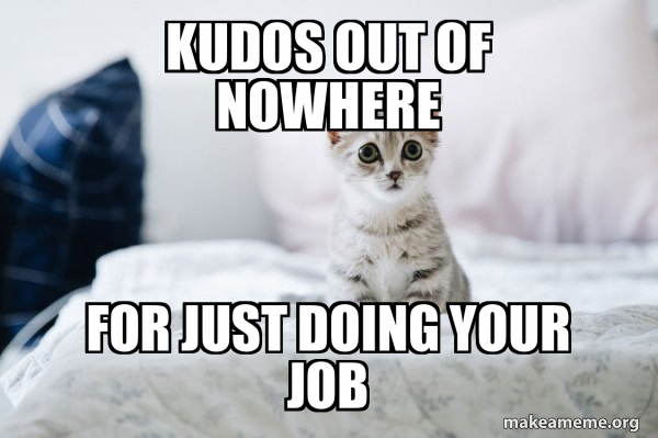 Kudos out of nowhere for just doing your job - Cute Kitten Meme Generator