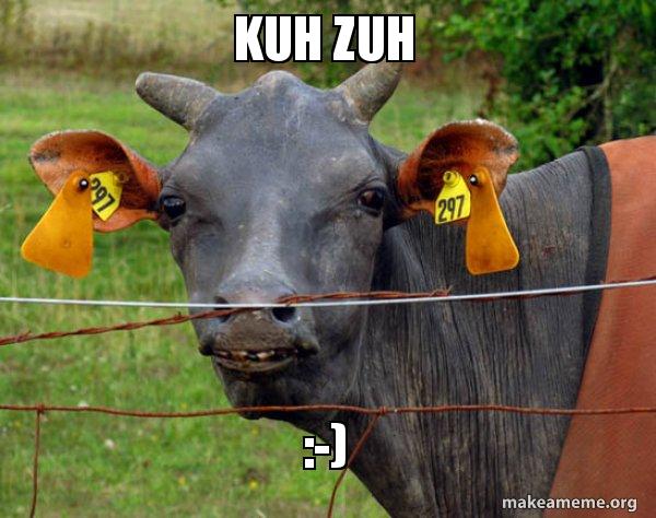 Kuh Zuh :-) - Hairless Cow Meme Generator