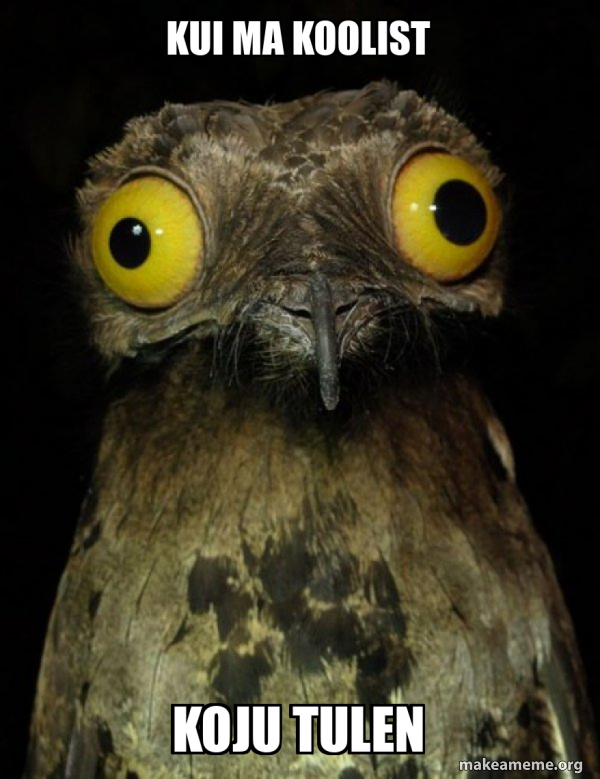 kui ma koolist koju tulen - Weird Stuff I do Potoo Meme Generator