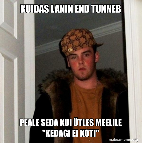 Kuidas Lanin end tunneb peale seda kui ütles Meelile "kedagi ei koti ...