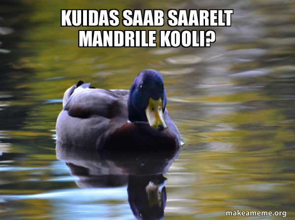 Kuidas saab saarelt mandrile kooli? - Zen Advice Mallard Meme Generator