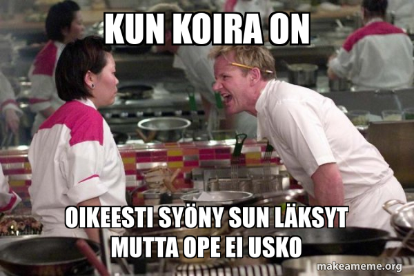 KUN KOIRA ON OIKEESTI SYÃ–NY SUN LÃ„KSYT MUTTA OPE EI USKO - Gordon ...