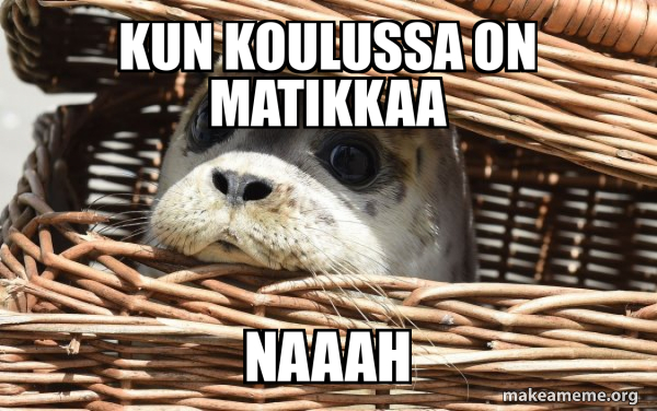 kun koulussa on matikkaa naaah - Impending Doom Seal Meme Generator