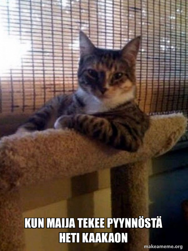 Kun maija tekee pyynnöstä heti kaakaon - The Most Interesting Cat in ...