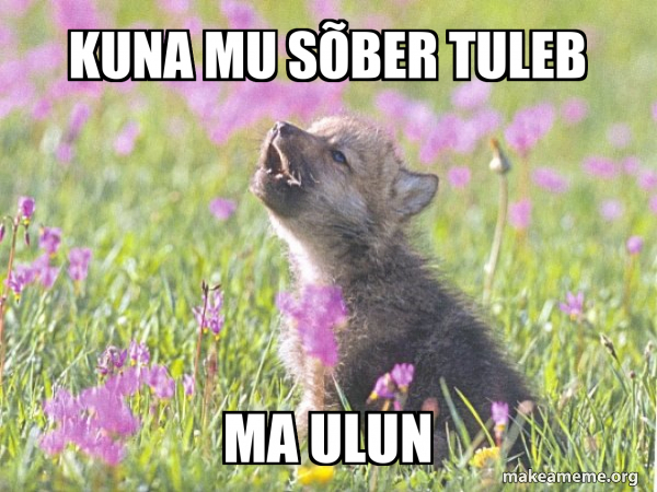 kuna mu sõber tuleb ma ulun - Baby Insanity Wolf Meme Generator