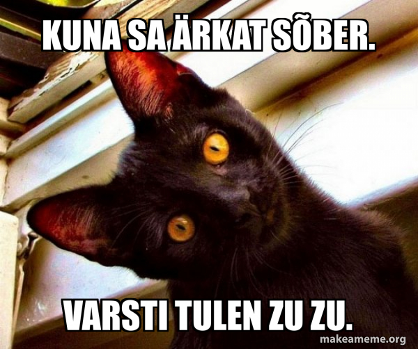 kuna sa ärkat sõber. Varsti tulen zu zu. - Overly Attached Cat Meme ...