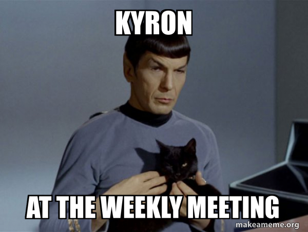 Kyron At the weekly meeting - Spock and Cat Meme Meme Generator