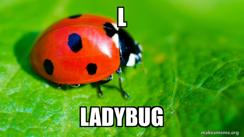 L Ladybug Meme Generator