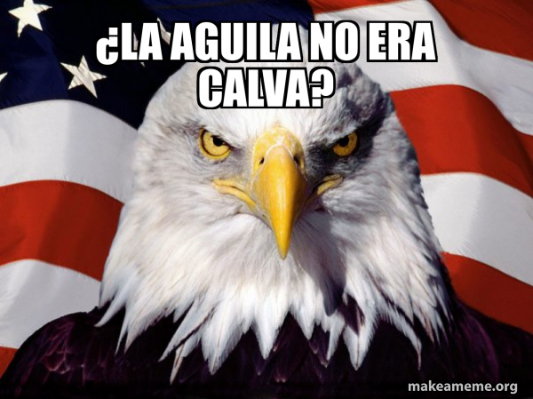 ¿LA AGUILA NO ERA CALVA? - American Pride Eagle Meme Generator