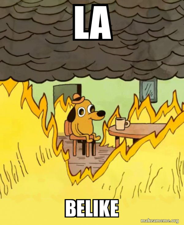 LA Belike - This Is Fine Meme Generator