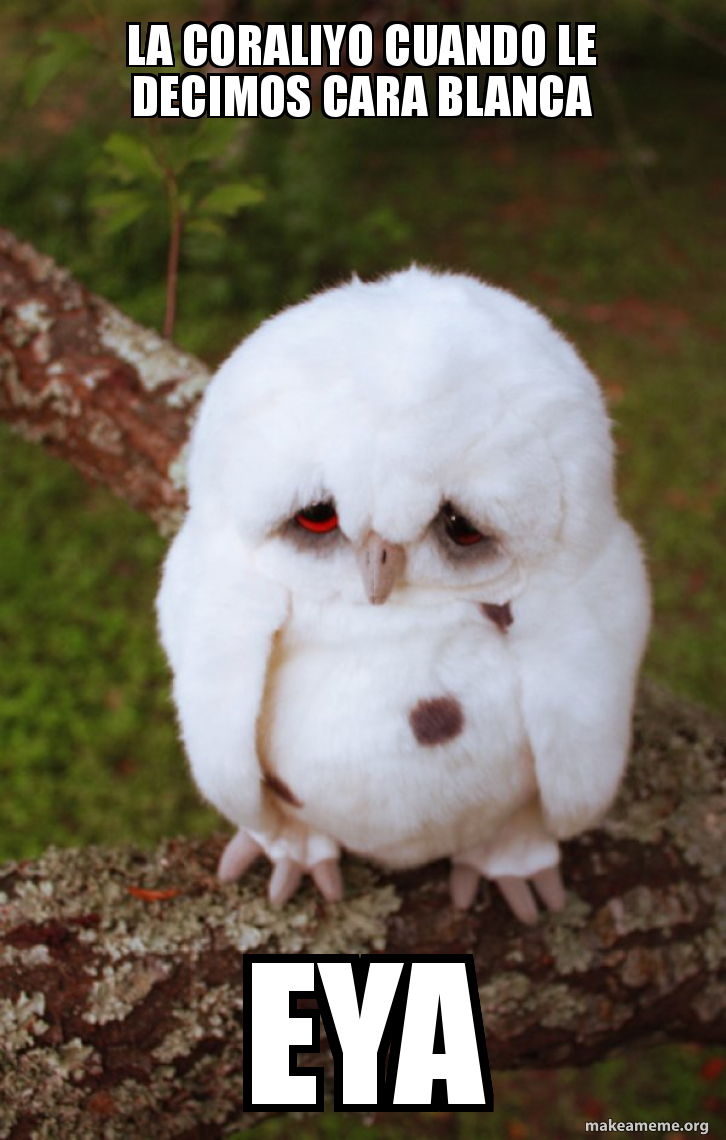 Memes Cara Blanca El Meme Maldito”, La Broma De Internet Que Se