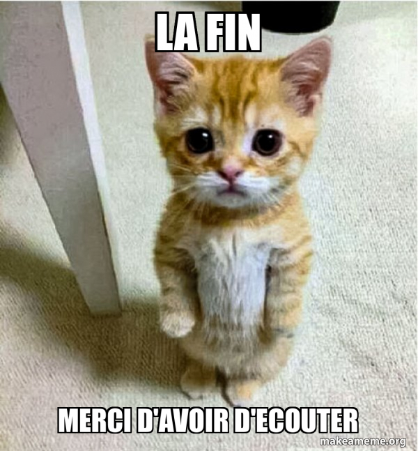 la fin merci d'avoir d'ecouter - Cute Cat Standing Meme Generator