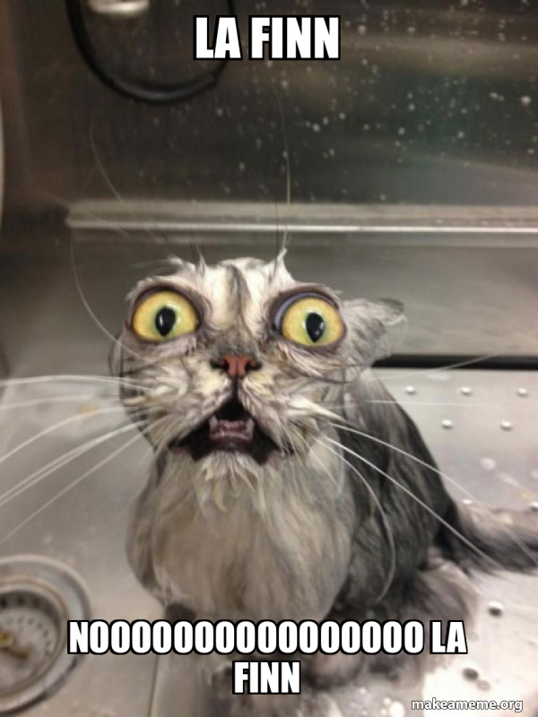 la finn noooooooooooooooo la finn - Cat bath Meme Generator