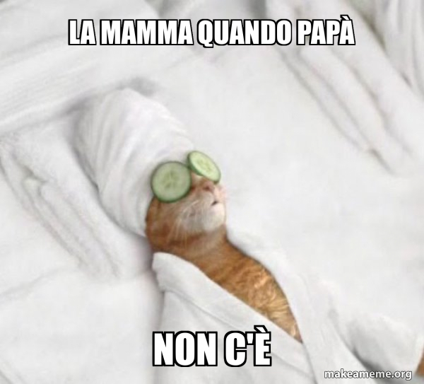 la mamma quando papà non c'è - Pampered Cat Meme Meme Generator