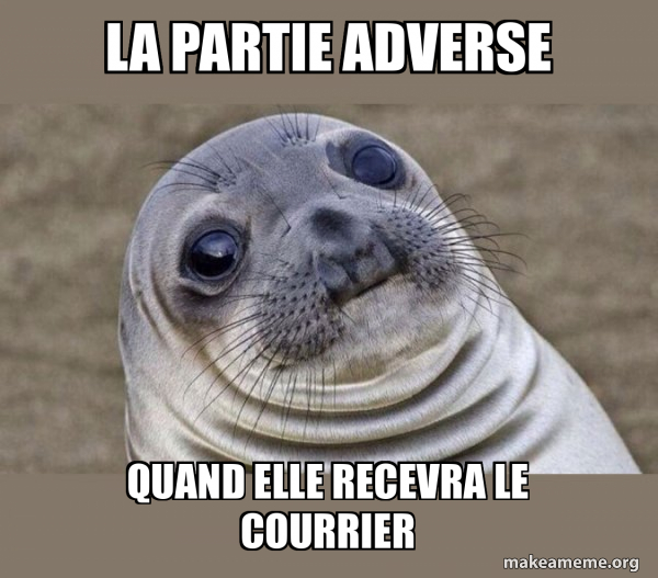 La partie adverse quand elle recevra le courrier - Squeamish Seal Meme ...