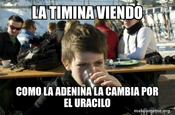 la timina viendo como la adenina la cambia por el uracilo - Lazy ...