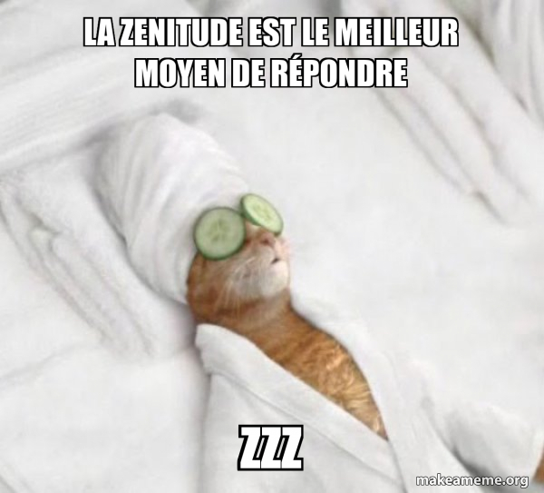 La zenitude est le meilleur moyen de répondre Zzz - Pampered Cat Meme ...