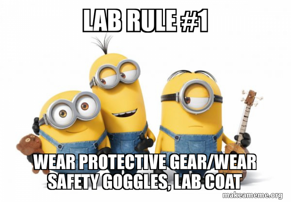 LAB RULE #1 Wear protective gear/wear safety goggles, lab coat - Minions Meme Generator