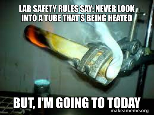 Lab safety rules say: NEVER LOOK INTO A TUBE THAT'S BEING HEATED But, I ...