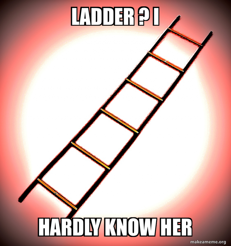 Ladder ? I Hardly know her Meme Generator
