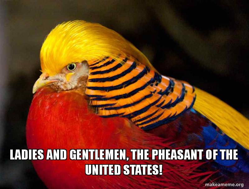 Ladies and gentlemen, the Pheasant of the United States! Meme Generator