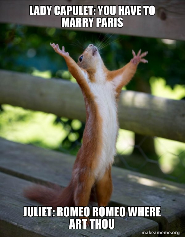 Lady Capulet: you have to Marry Paris Juliet: Romeo Romeo where art ...