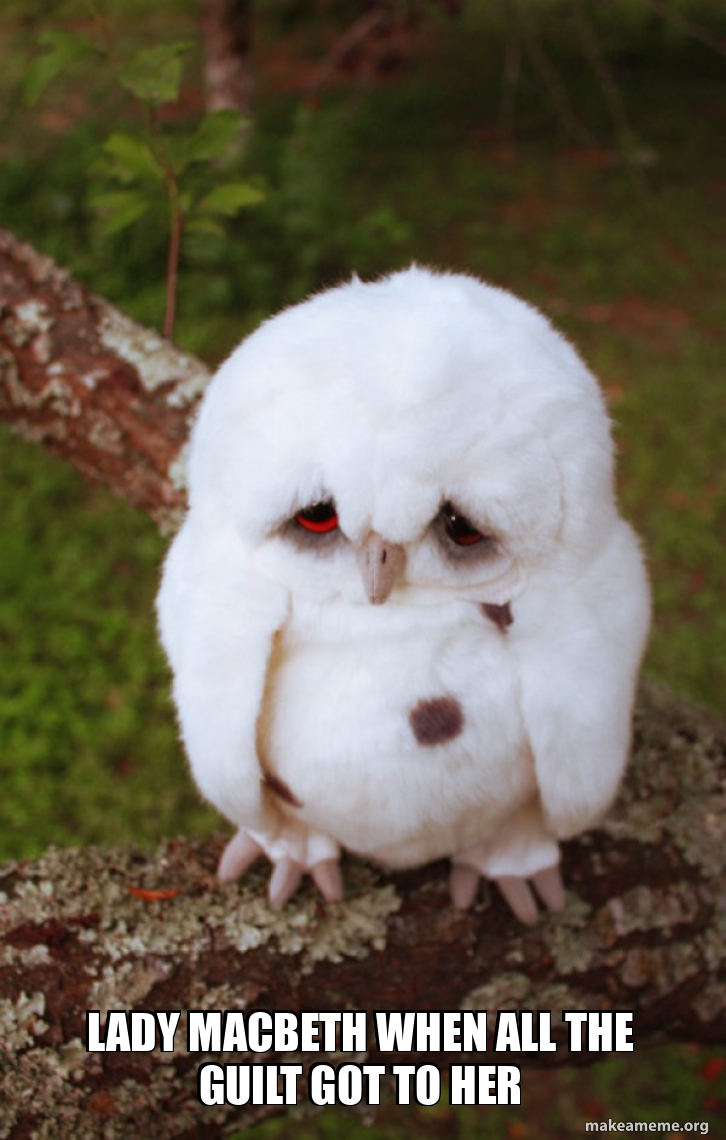lady macbeth when all the guilt got to her - Sad Owl Meme Generator