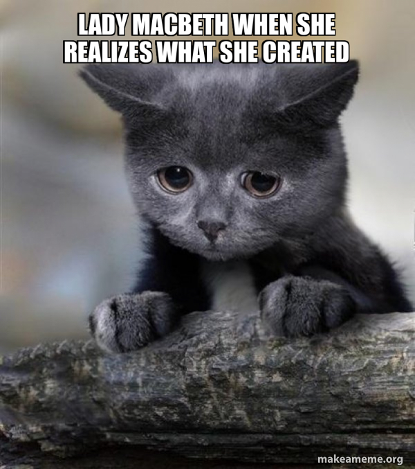 Lady Macbeth when she realizes what she created - Confession Cat Meme ...