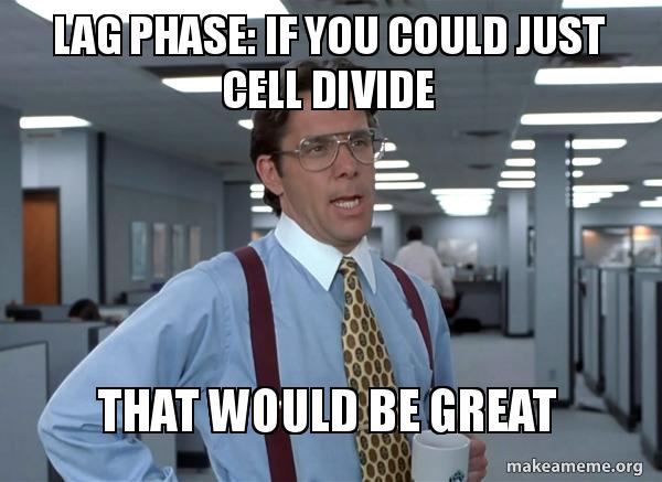 lag phase: if you could just cell divide That would be great - That ...