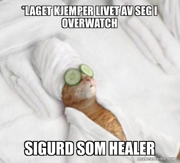 *laget kjemper livet av seg i Overwatch Sigurd som healer - Pampered ...