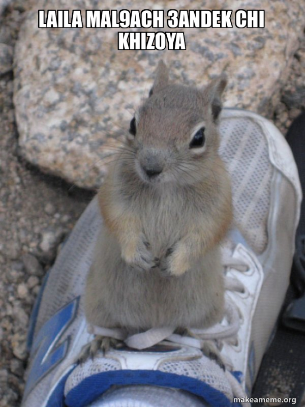 laila mal9ach 3andek chi khizoya - Standover Squirrel Meme Generator