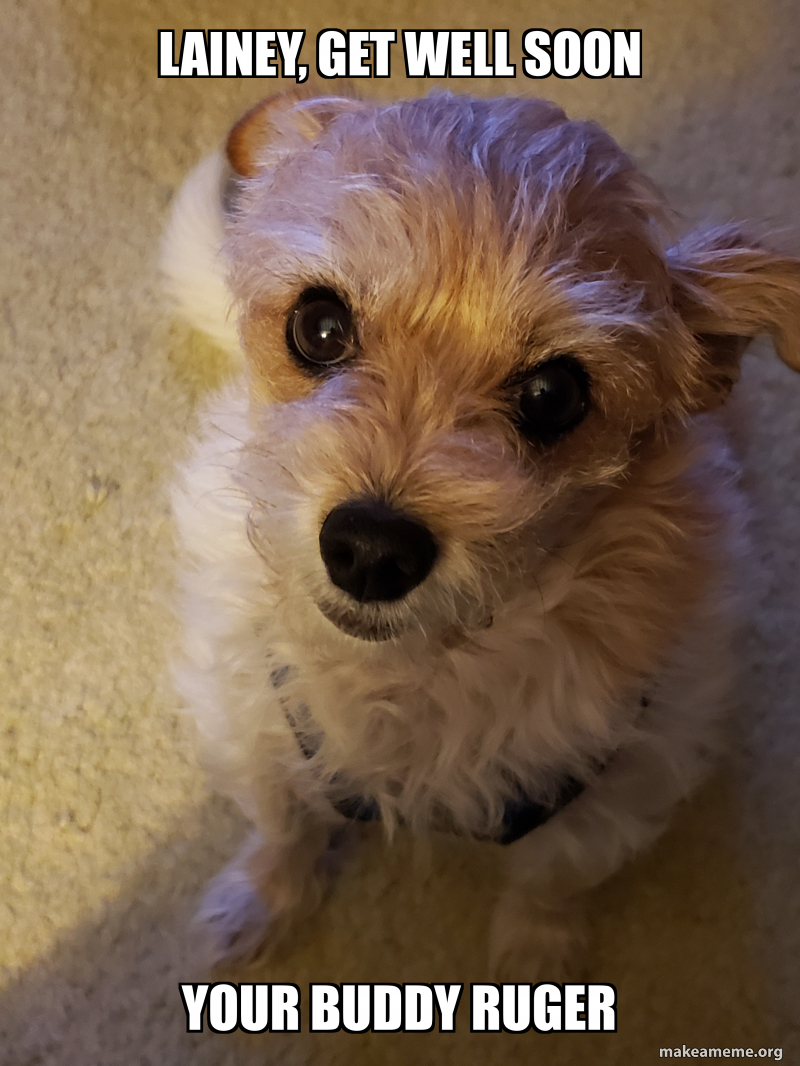 Lainey, get well soon Your buddy ruger Meme Generator