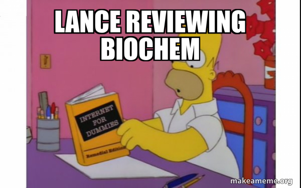lance reviewing biochem - Computer Homer Meme Generator